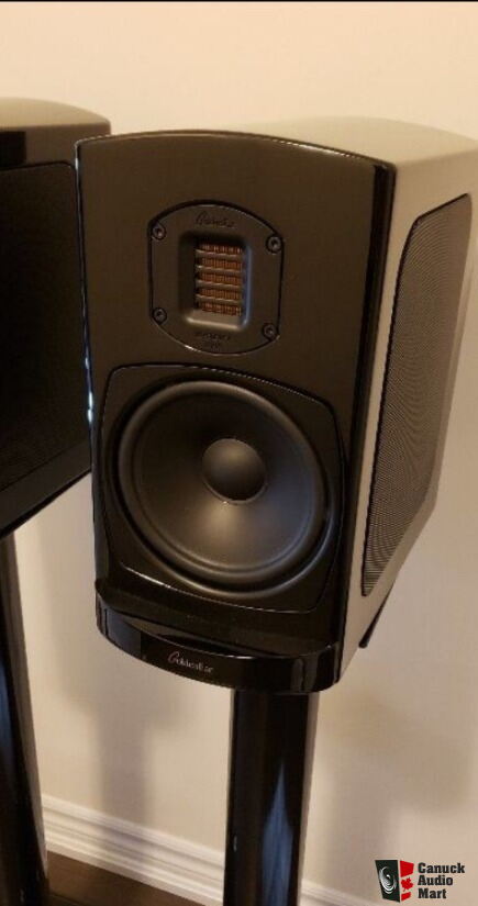 Goldenear BRX reference bookshelf Photo #3225263 - Canuck Audio Mart
