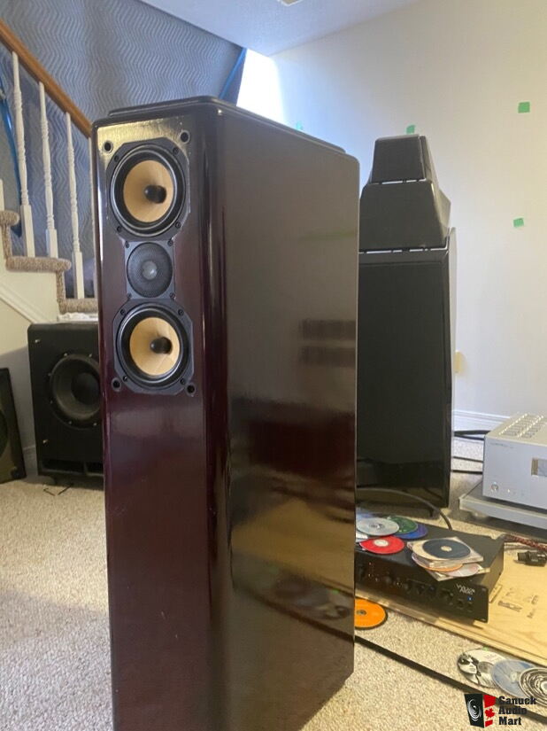Swan Cygnus Speakers Photo #3229341 - US Audio Mart