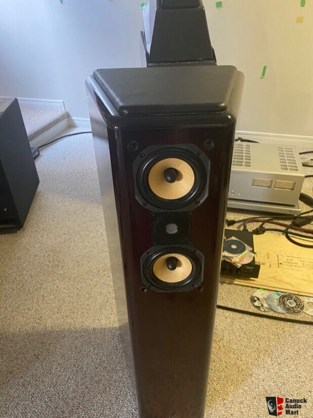 Swan Cygnus Speakers Photo #3229334 - Canuck Audio Mart