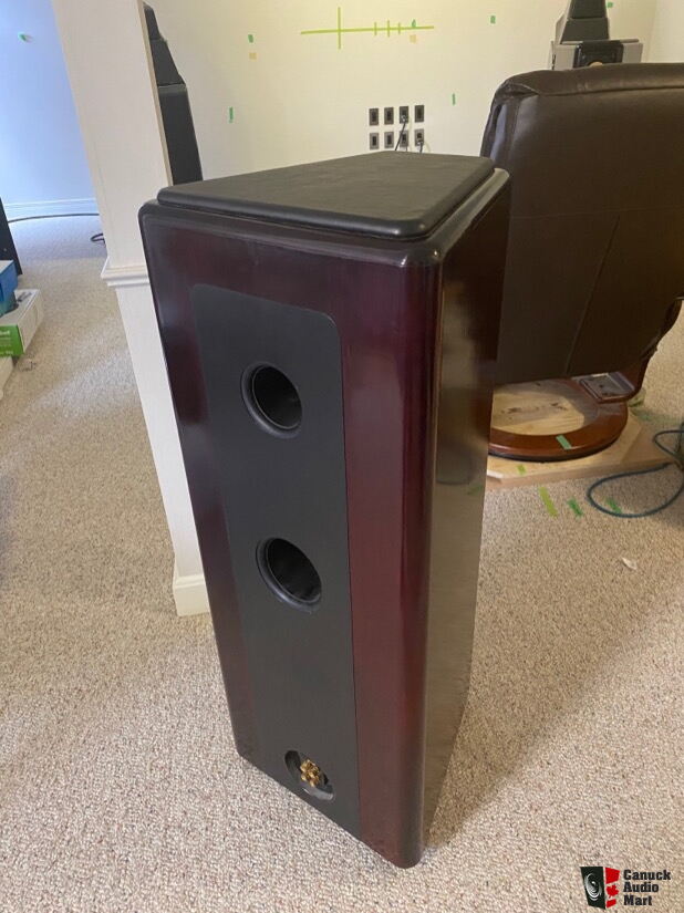 Swan Cygnus Speakers Photo #3229337 - Canuck Audio Mart