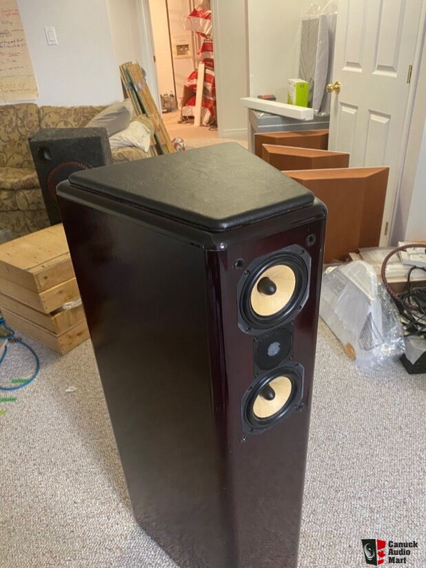Swan Cygnus Speakers Photo #3229339 - US Audio Mart
