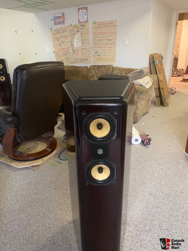 Swan Cygnus Speakers Photo #3229341 - US Audio Mart