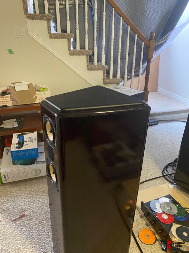 Swan Cygnus Speakers Photo #3229342 - Canuck Audio Mart