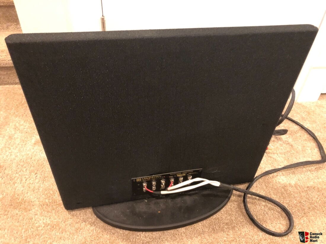 Magnepan DWM bass panel Photo #3230468 - Canuck Audio Mart