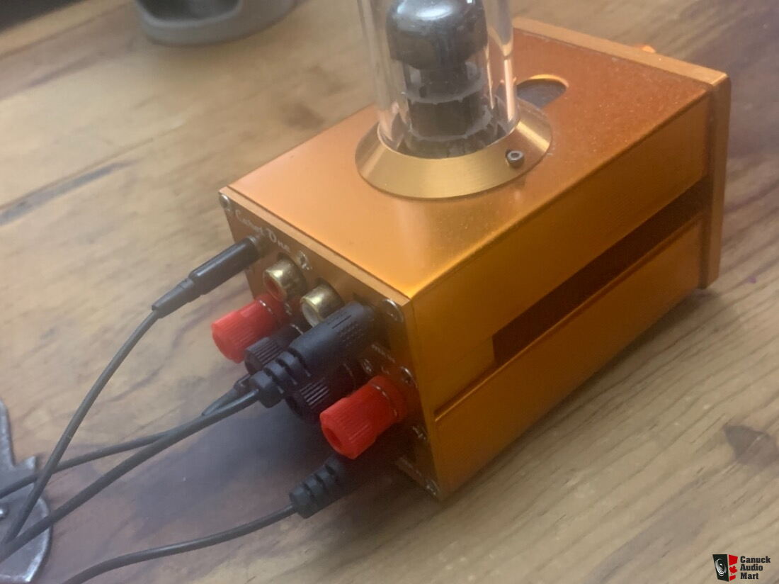 Carrot One Ernestolo Integrated Amplifier Photo #3238383 - Canuck Audio ...