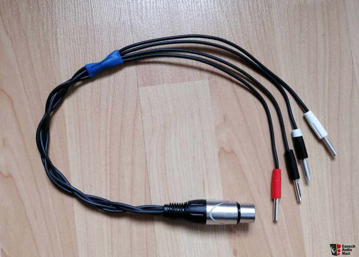 Speaker Taps to 4 pin female XLR adapter ( 0.5m with Kimber 4TC) Photo ...