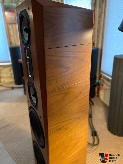 LEGACY audio FOCUS SE Excellent Shape Excellent speaker Excellent price ...