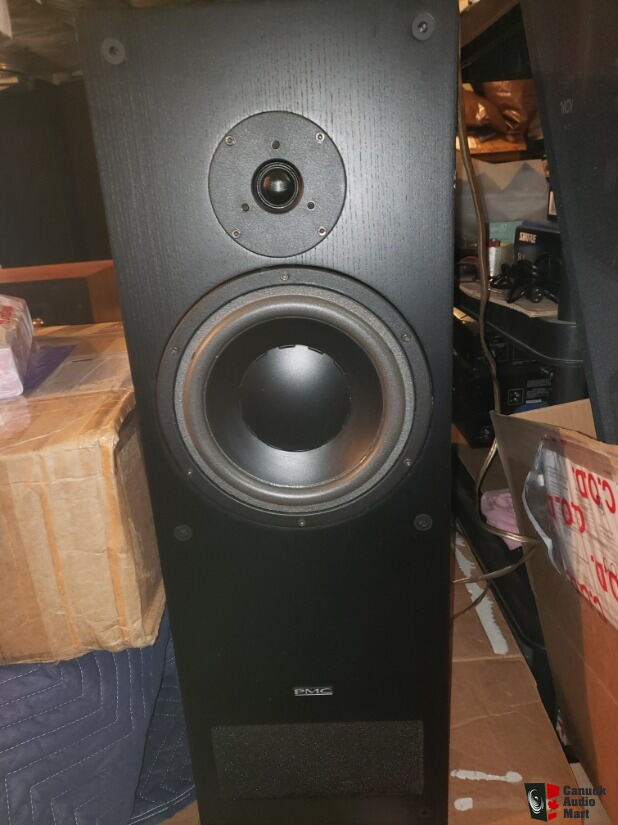 RARE..PMC Wafer 2 Photo #3267968 - Canuck Audio Mart