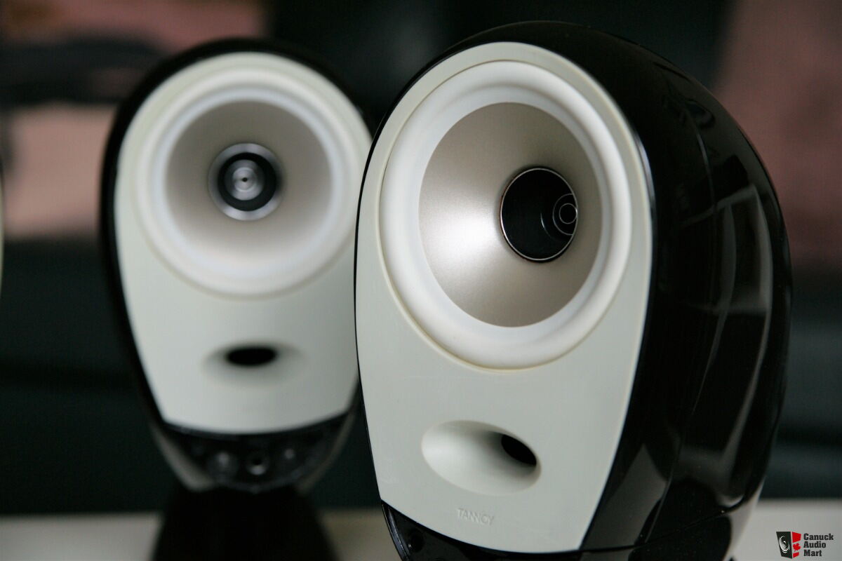 Tannoy Arena Speakers Photo #3290410 - US Audio Mart
