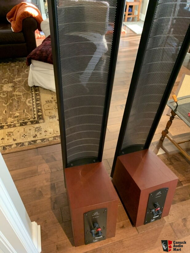 Martin Logan Ethos Hybrid Electrostatic Speakers For Sale - Canuck ...