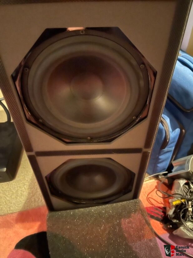 Wilson Watt puppy 3/2 Photo #3302237 - Canuck Audio Mart