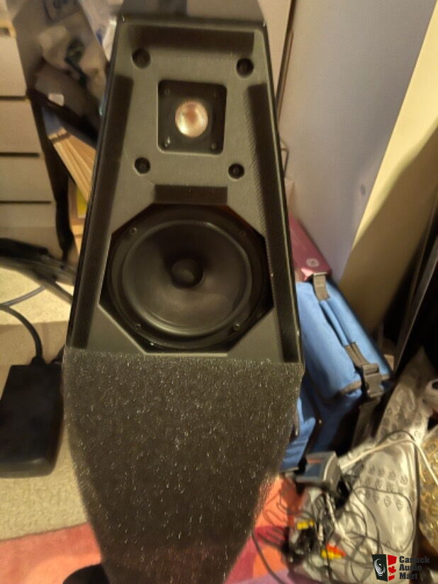 Wilson Watt puppy 3/2 Photo #3302237 - Canuck Audio Mart