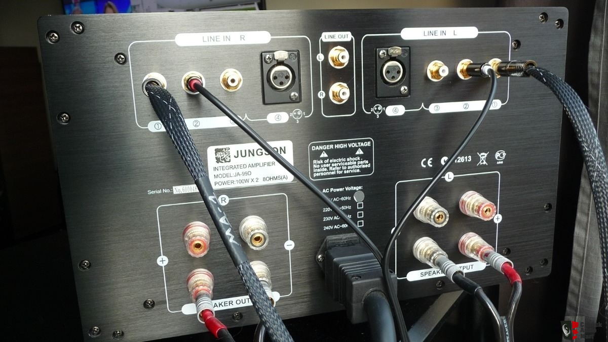 jungson flagship JA99D class A 100 watts integrated amp Photo #3306648 ...