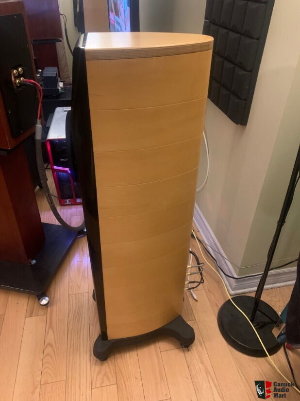 Pair of Usher Mini Dancer One BE Rare Maple Cabinet: Amazing speakers ...