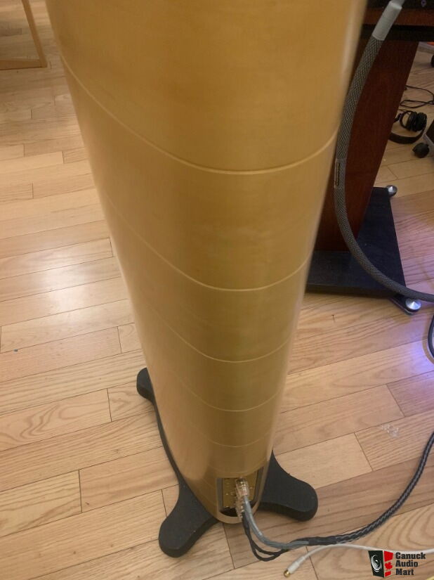 Pair of Usher Mini Dancer One BE Rare Maple Cabinet: Amazing speakers ...