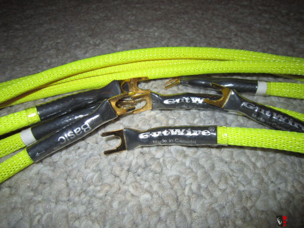 Gut Wire Audio Basic Speaker Cable For Sale - Canuck Audio Mart