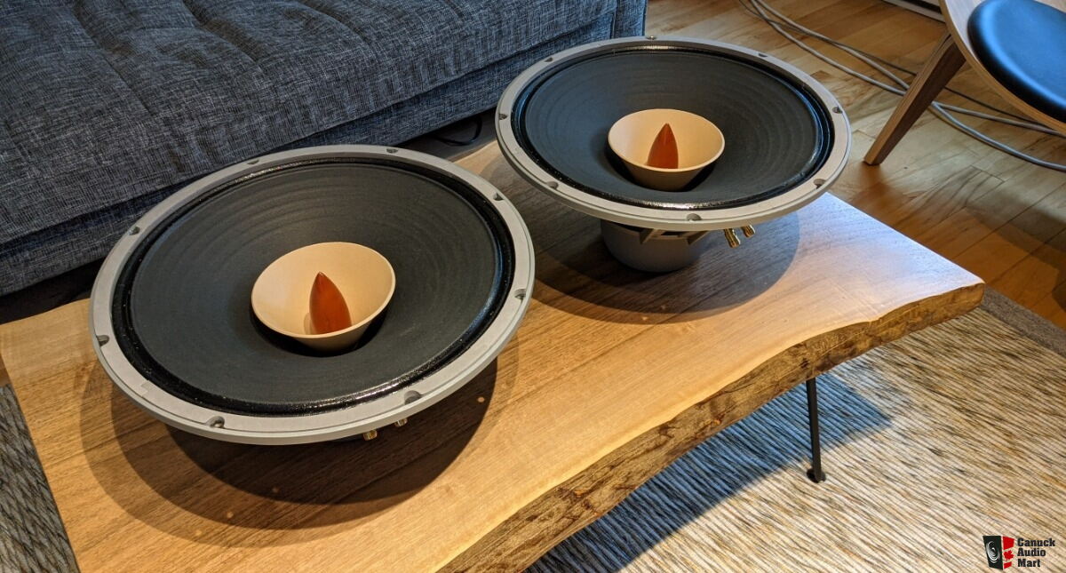 Lii Audio F-15 15" Full Range Drivers ( pair) For Sale - Canuck Audio Mart