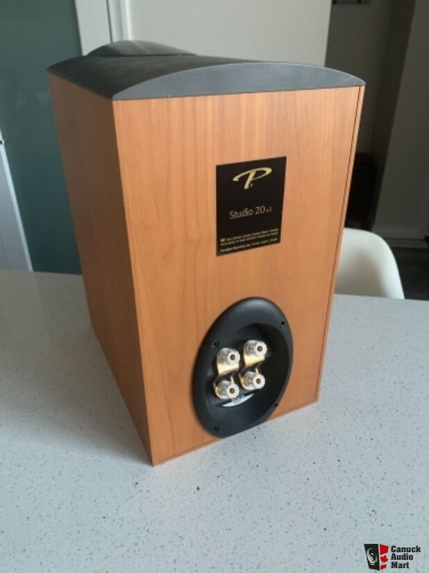 Paradigm Studio 20 v.3 - absolutly amazing shape! Photo #3328838 ...