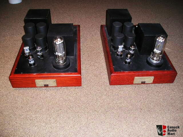 Caztech SE 845 tube mono amps (RARE) Photo #337709 - Canuck Audio Mart
