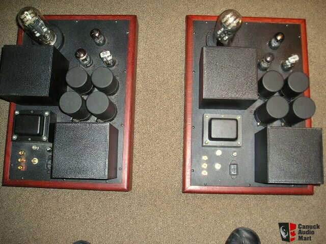 Caztech SE 845 tube mono amps (RARE) Photo #337709 - Canuck Audio Mart