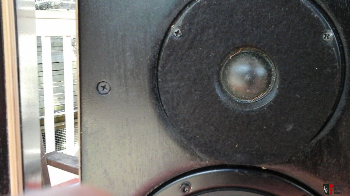 All Dynaudio driver DIY bookshelf speakers Photo #3384690 - Canuck ...
