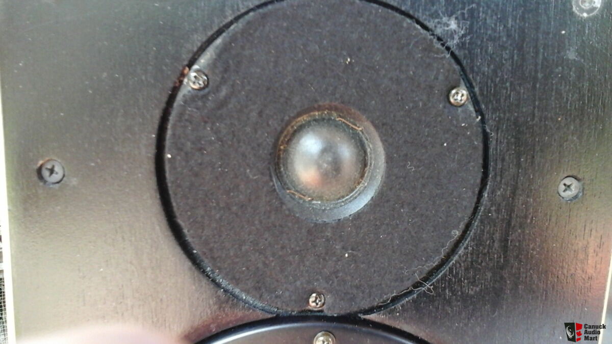 All Dynaudio driver DIY bookshelf speakers Photo #3384690 - Canuck ...