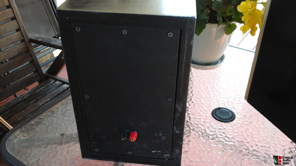 All Dynaudio driver DIY bookshelf speakers Photo #3384690 - Canuck ...