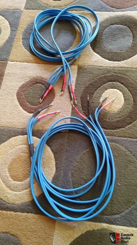 Audio Note AN-L bi-Wire Speaker cables with Audio Note silver banana ...