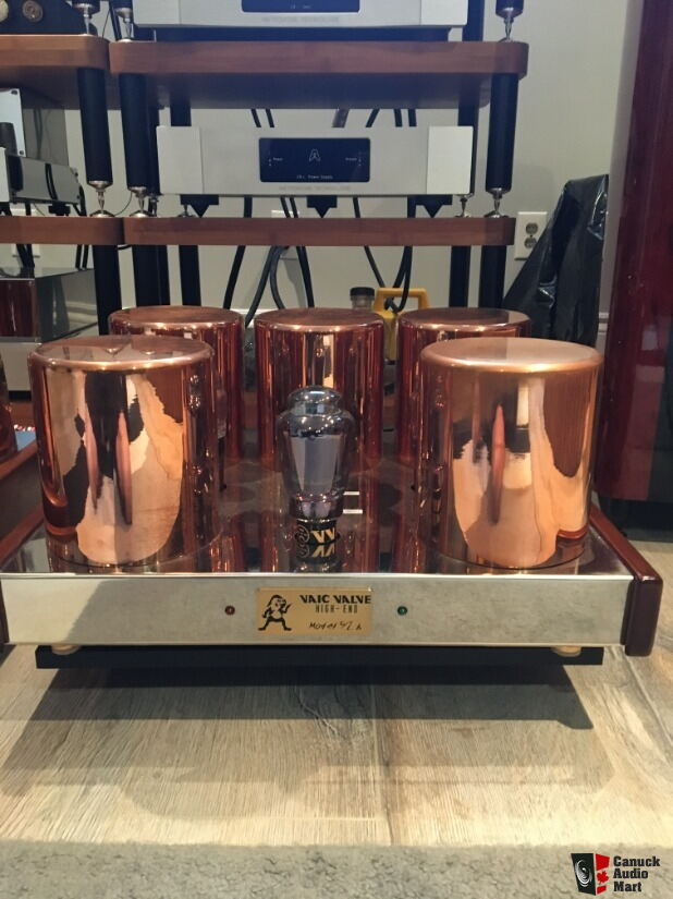 Mastersound VAIC Monoblock Amplifiers Photo #3398487 - Canuck Audio Mart