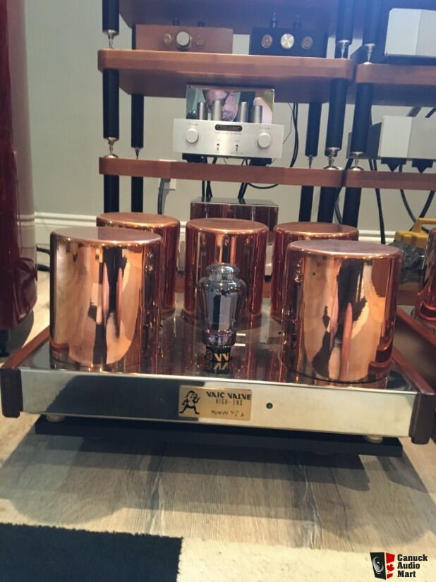 Mastersound VAIC Monoblock Amplifiers Photo #3398487 - Canuck Audio Mart