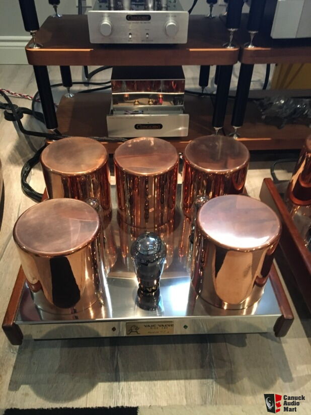 Mastersound VAIC Monoblock Amplifiers Photo #3398489 - Canuck Audio Mart
