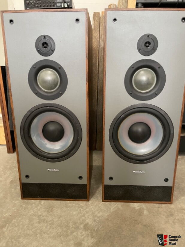 Paradigm MODEL 11 Photo #3413756 - Canuck Audio Mart