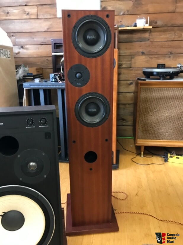ProAc Studio 200 Photo #3417117 - Canuck Audio Mart