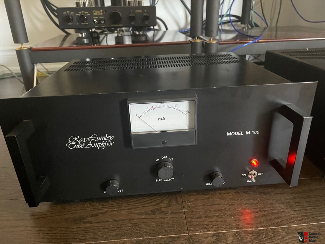 Ray Lumley M-100 Monoblock pair Photo #3424969 - Canuck Audio Mart