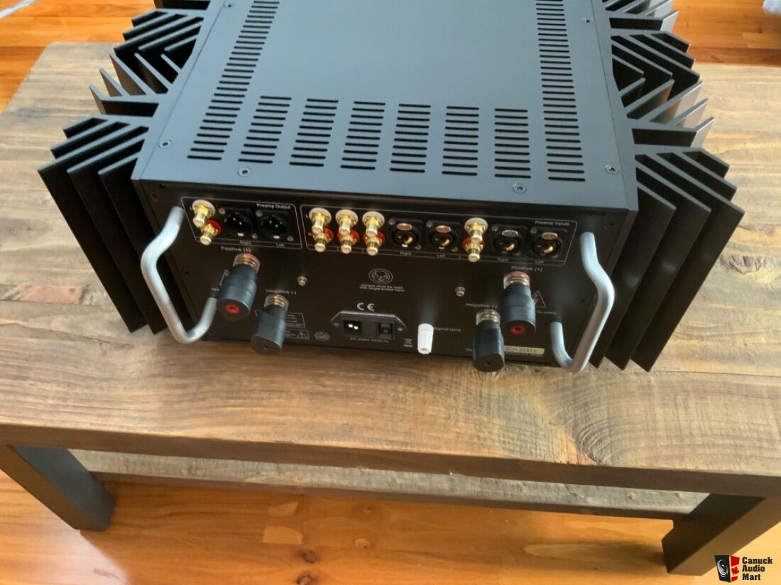 Pass Labs INT-250 Photo #3426849 - Canuck Audio Mart