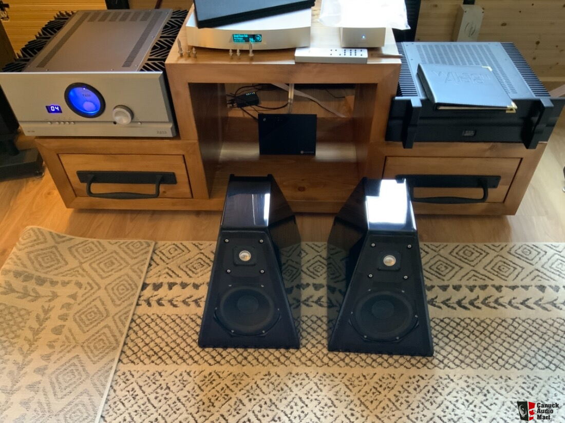 Pass Labs INT-250 Photo #3426849 - Canuck Audio Mart
