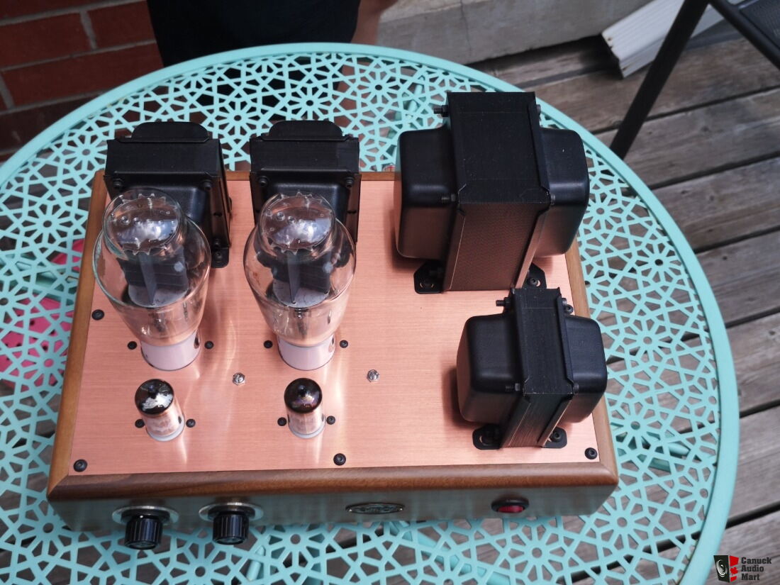 Tektron TK300BS-I-ECY tube integrated amp Photo #3430494 - US Audio Mart