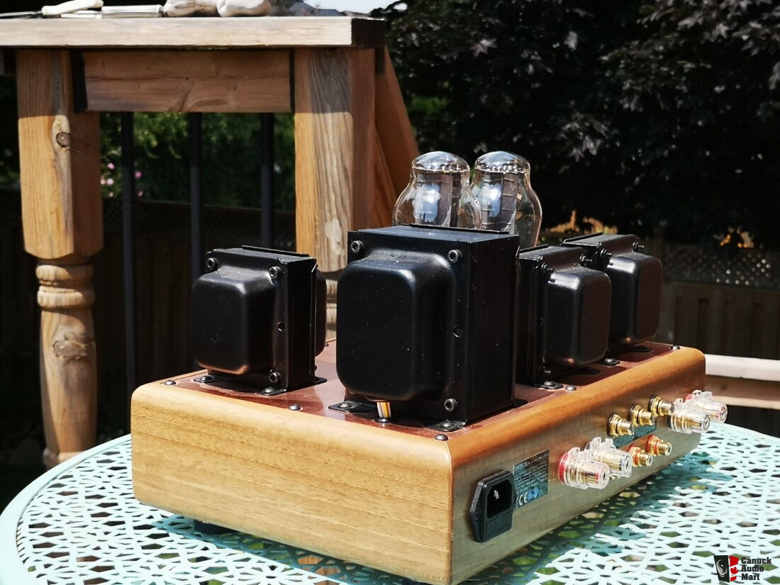 Tektron TK300BS-I-ECY tube integrated amp Photo #3430494 - US Audio Mart