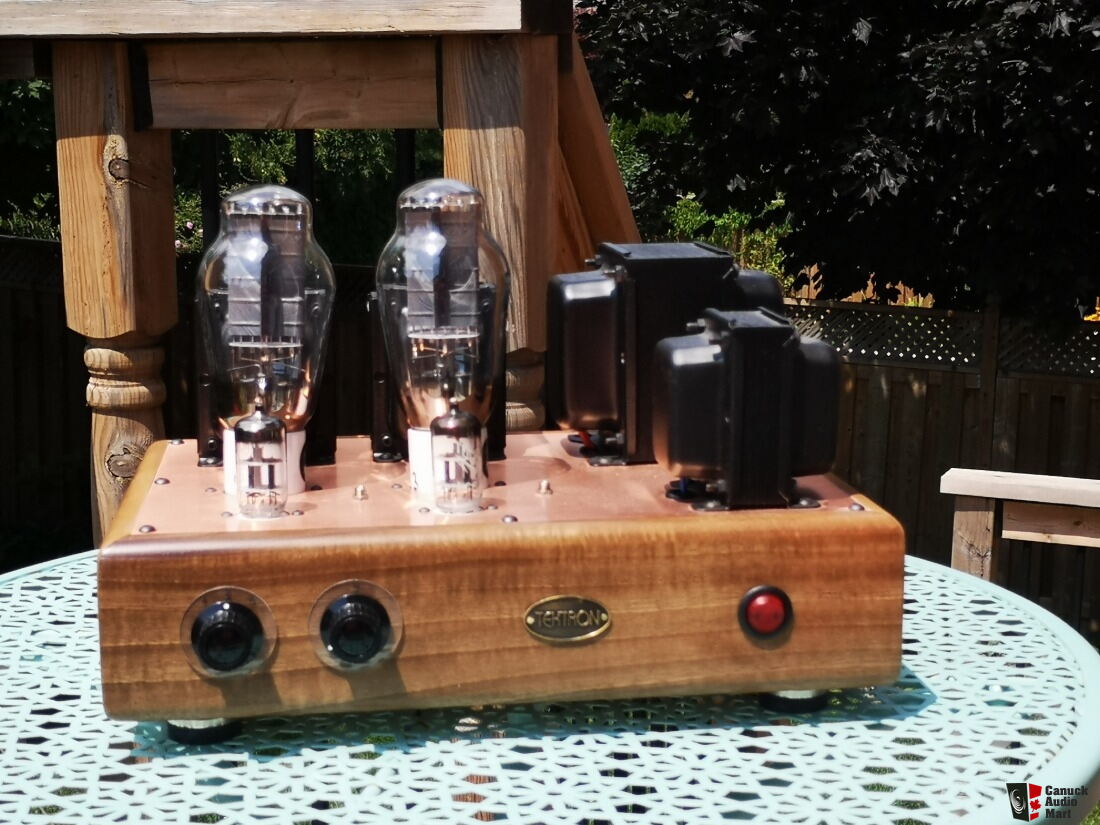Tektron TK300BS-I-ECY tube integrated amp Photo #3430494 - US Audio Mart