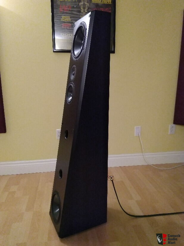 Coral Electronic/Peerless Hi-End Floor Standing Loudspeakers Photo ...