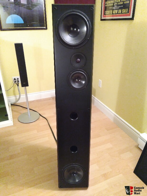 Coral Electronic/Peerless Hi-End Floor Standing Loudspeakers Photo ...