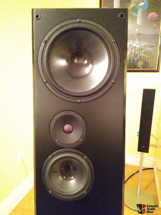 Coral Electronic/Peerless Hi-End Floor Standing Loudspeakers Photo ...