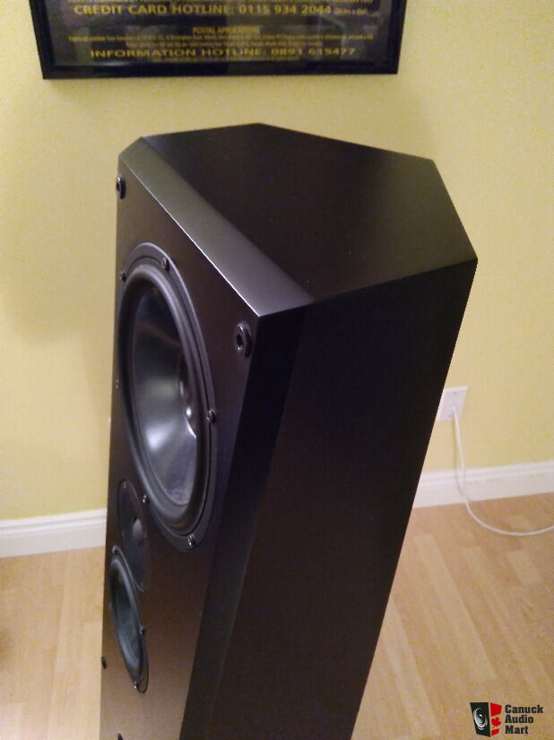 Coral Electronic/Peerless Hi-End Floor Standing Loudspeakers Photo ...