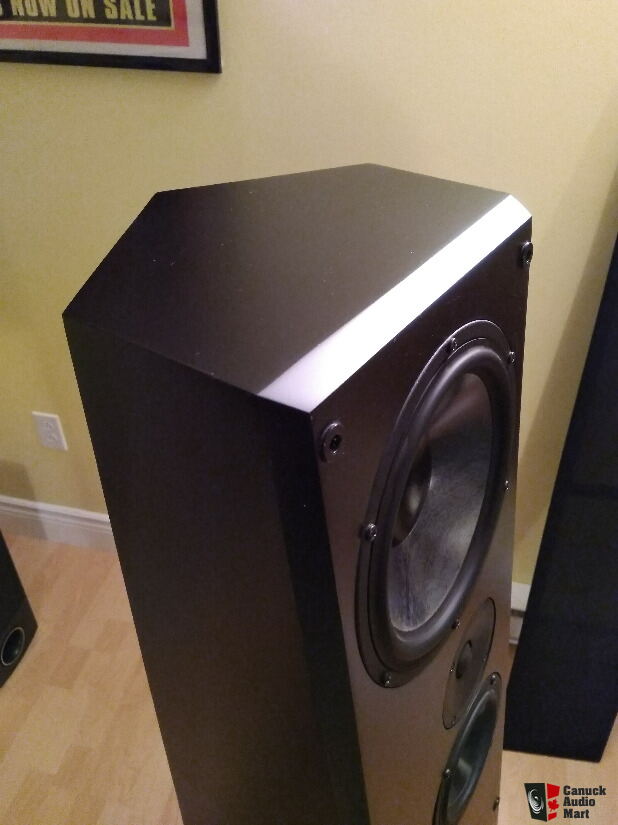 Coral Electronic/Peerless Hi-End Floor Standing Loudspeakers Photo ...
