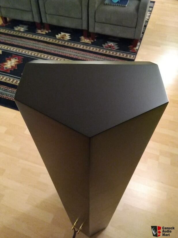Coral Electronic/Peerless Hi-End Floor Standing Loudspeakers Photo ...