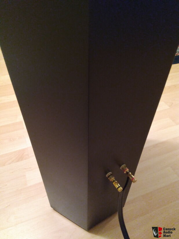 Coral Electronic/Peerless Hi-End Floor Standing Loudspeakers Photo ...