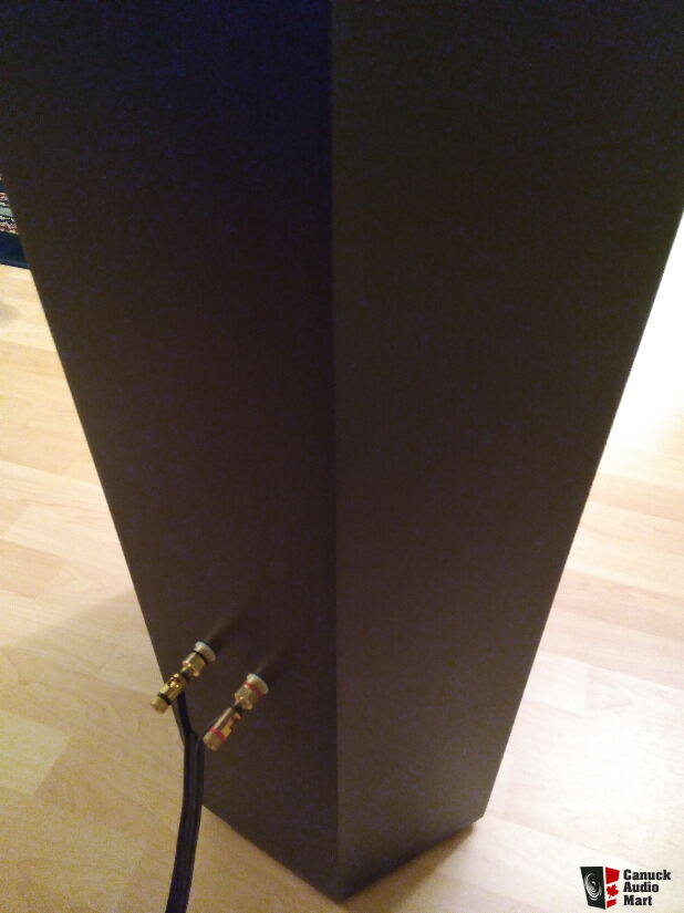 Coral Electronic/Peerless Hi-End Floor Standing Loudspeakers Photo ...