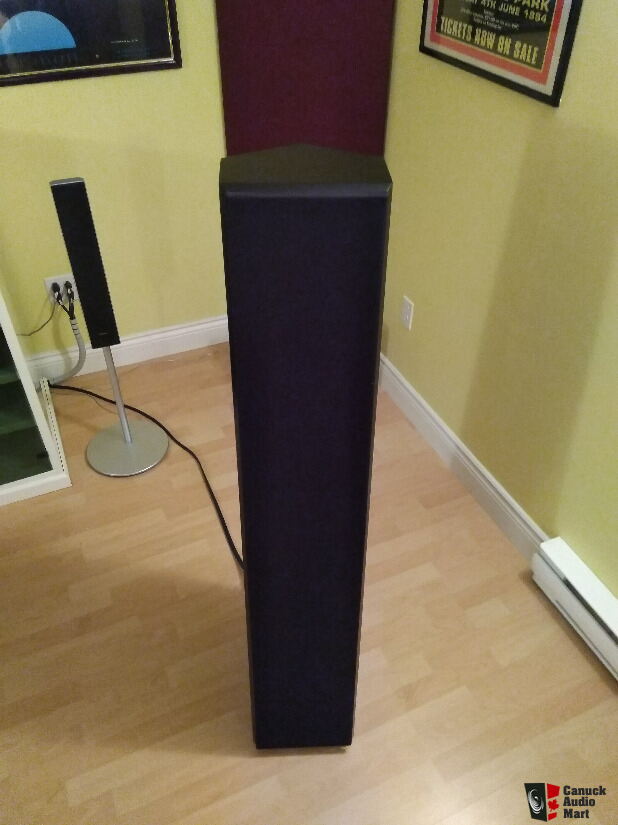 Coral Electronic/Peerless Hi-End Floor Standing Loudspeakers Photo ...