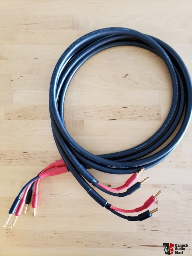 6ft Mogami W3103 with Audioquest Suregrips 100 For Sale - Canuck Audio Mart