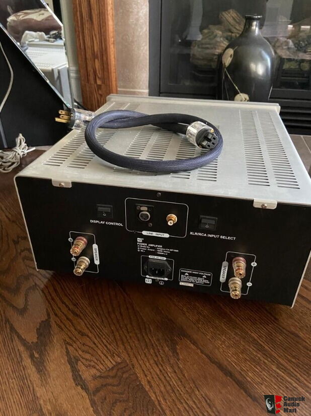 Jungson JA 100 Mono block power amps Photo #3439312 - Canuck Audio Mart